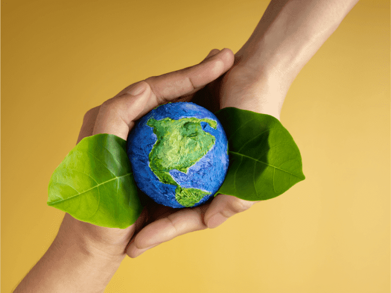 About Us - Planet Plates